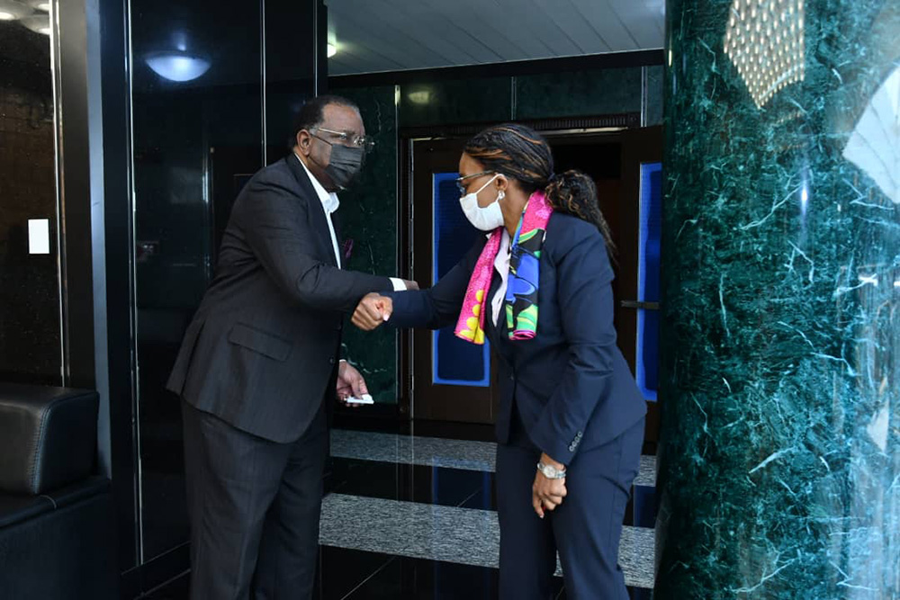 ES Meeting with President of Namibia on Visit of UNECA Senior ...